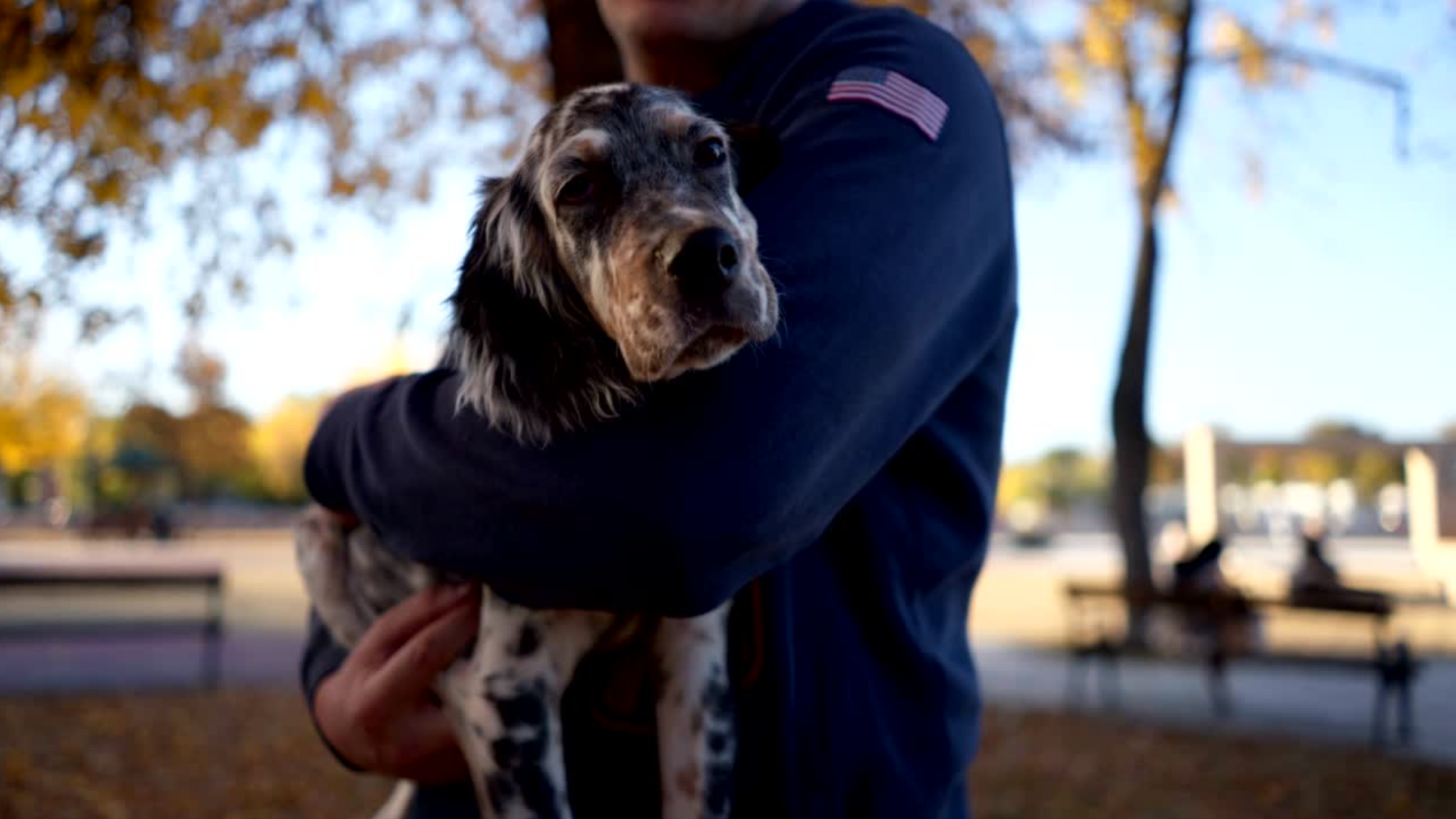 PSA for Veterans in Texas - Emotional Support Animals of Texas